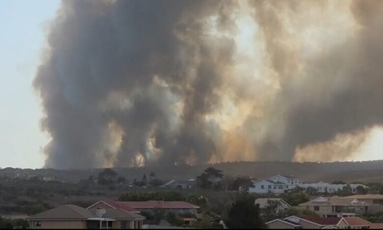 Veld fires force evacuations in Kouga as smoke blankets parts of ...