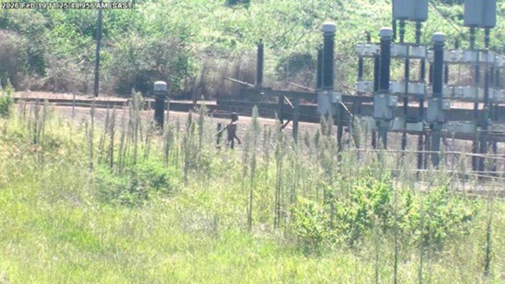 PICS | Safe City swift action protects Riverside substation | The Witness