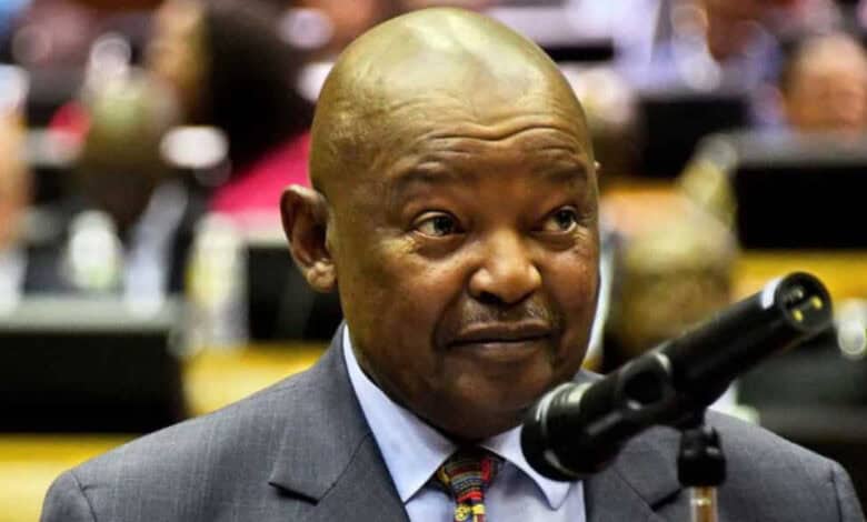 Wife’s fight reveals millions moved during Lekota’s illness | The Witness