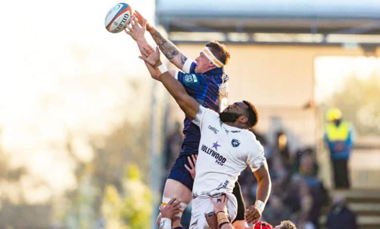 Sharks sink, Stormers swim, Bulls snort, Lions roar | The Witness