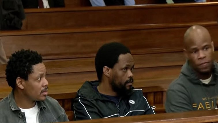 Calls for Madlanga Commission to intervene in Senzo Meyiwa murder case ...