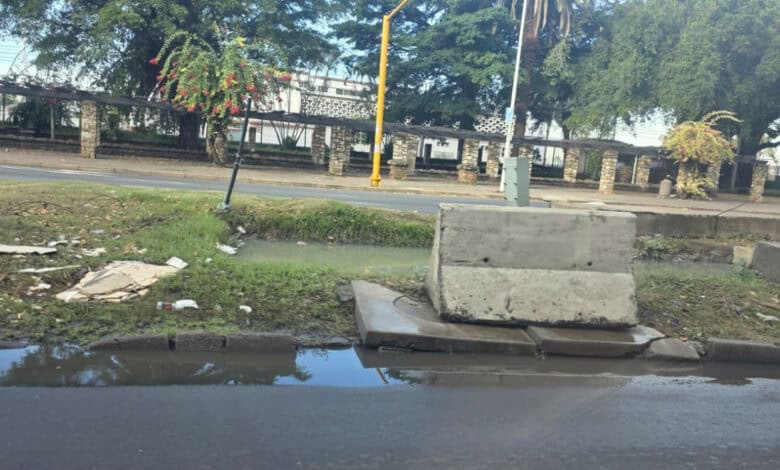 Sewage spill into Durban Bay sparks public health fears | The Witness