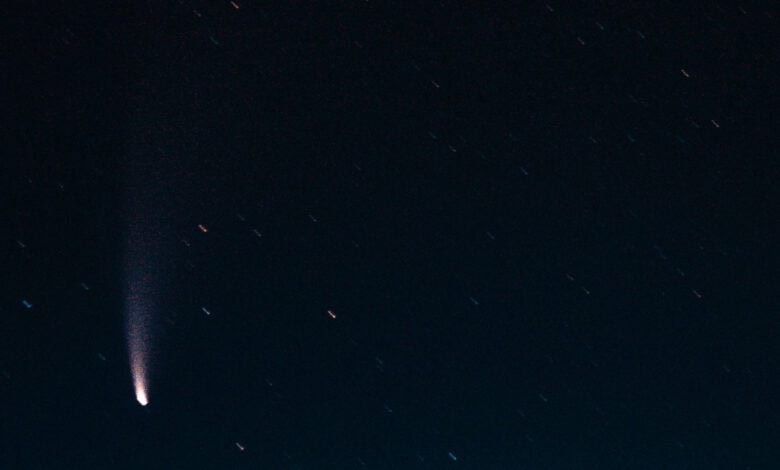 Asteroid zooming past Earth on Saturday visible to stargazers | The Witness
