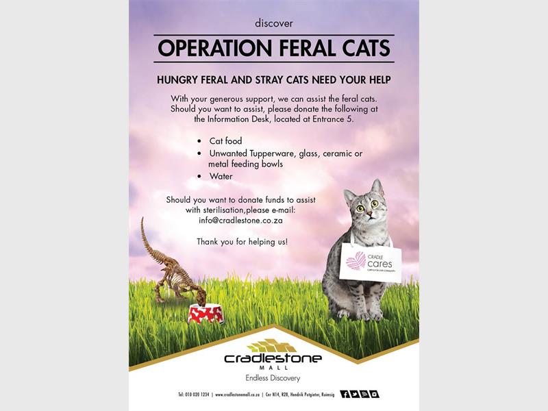 [FOLLOW UP] Cradlestone responds to cat death by launching project ...