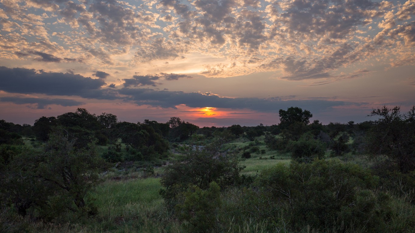 Pretoriuskop Rest Camp_ A Rustic Safari Adventure | Krugersdorp News