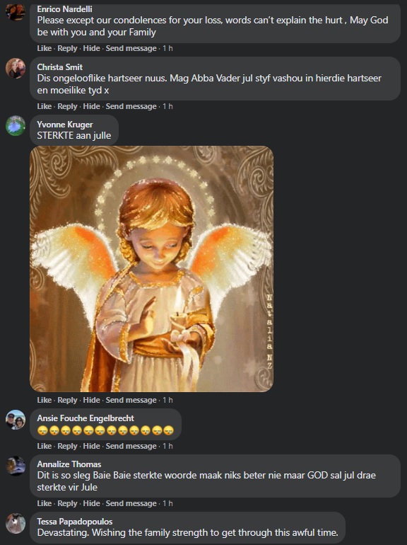 Krugersdorp Police open inquest into the drowning of Springbok rugby ...