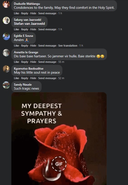 Krugersdorp Police open inquest into the drowning of Springbok rugby ...