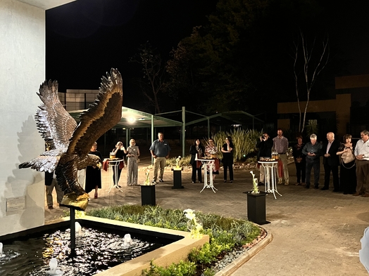 Sweef soos 'n Arend: Noordskool onthul pragbeeld | Krugersdorp News