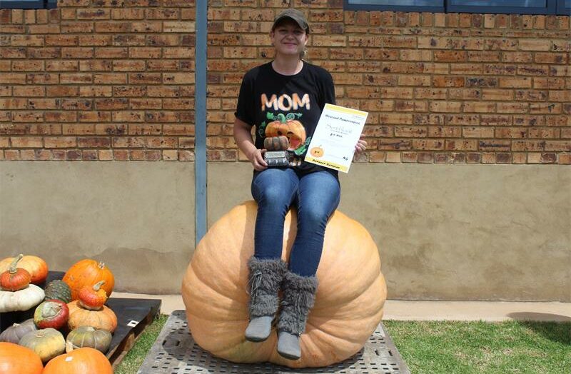Talle pret tydens die eerste Wes-Rand Pampoenfees en Boeremark ...