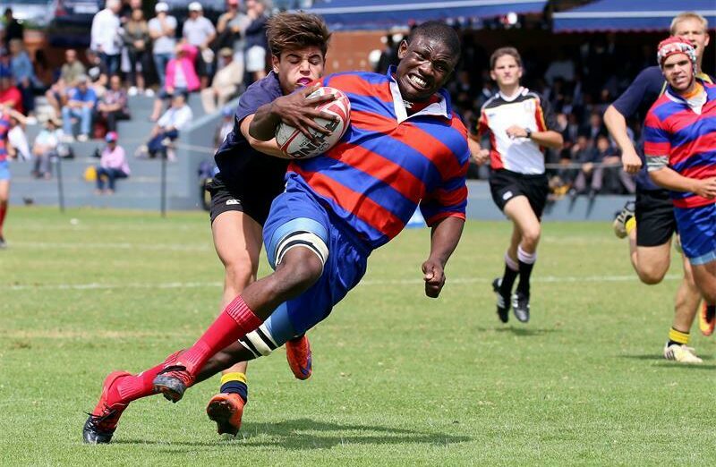 How does rugby affect the brain? | Krugersdorp News