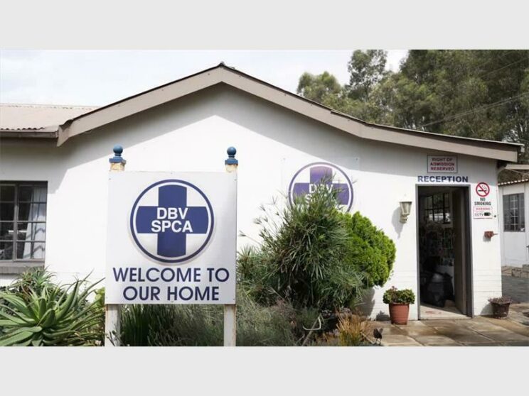 Roodepoort/ Krugersdorp SPCA to host AGM | Krugersdorp News
