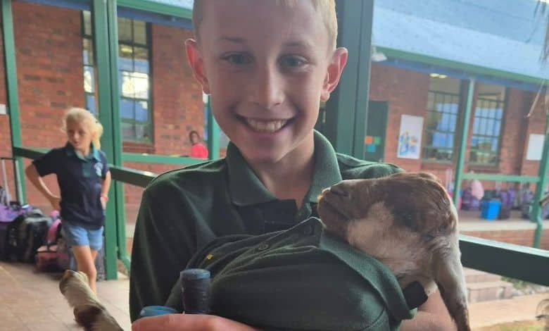 Noordskool idomedag: Van katte en honde tot bokke in die klas