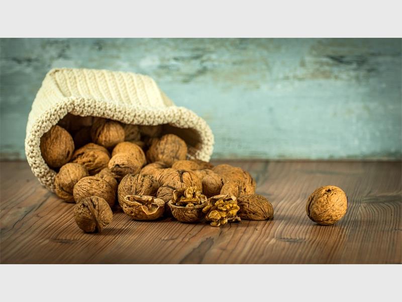National Walnut Day | Roodepoort Record
