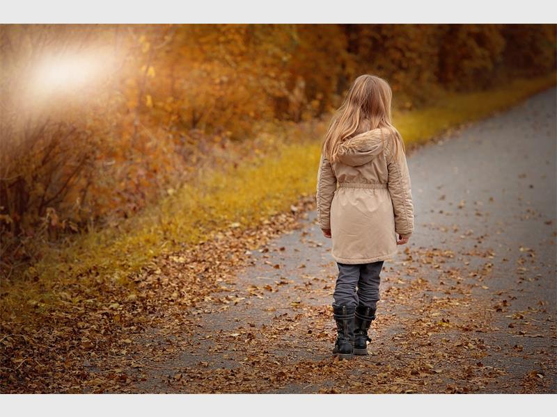 NG Welsyn vra weer publiek se hulp | Roodepoort Record