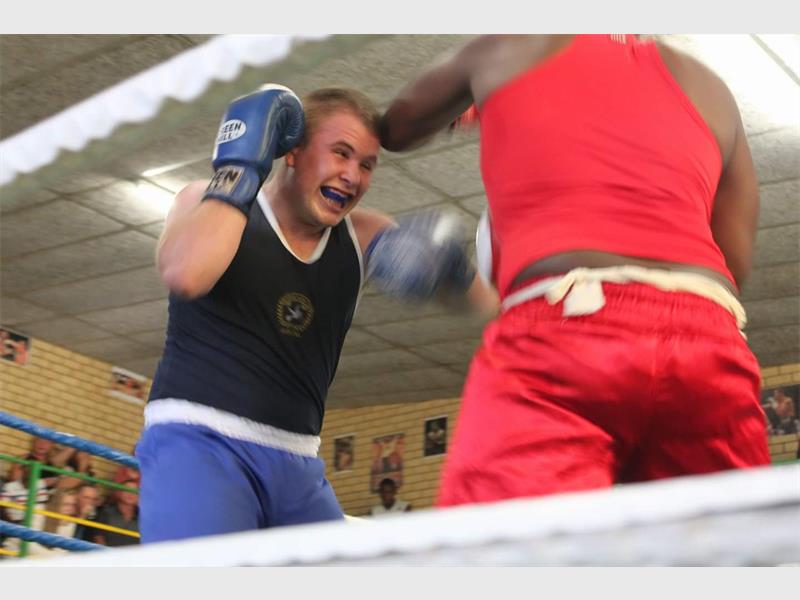 Viking's boxers gear up for Gauteng Elite Championships | Roodepoort Record