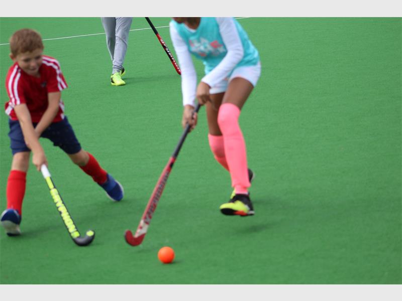 Western Hockey Club provides superior training for school players ...