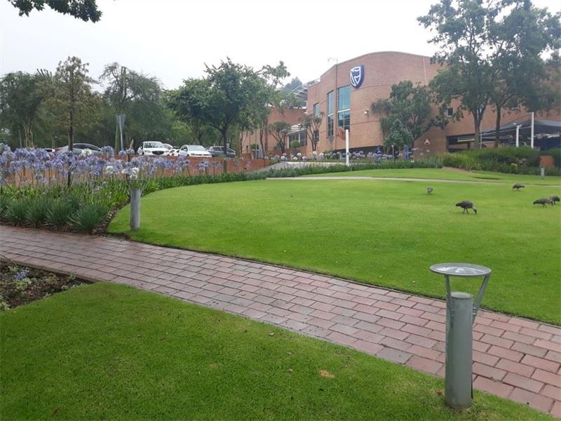 Constantia Kloof landscaper wins gold at 2020 SALI Awards | Roodepoort ...