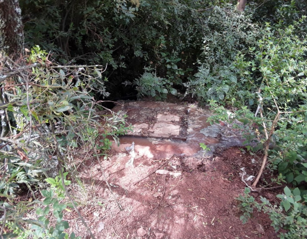 Residents asked to do their part to protect the Kloofendal Nature ...