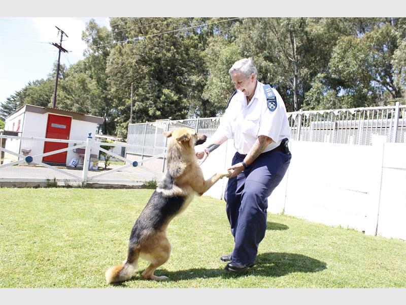 Help the SPCA feed a furry friend | Roodepoort Record