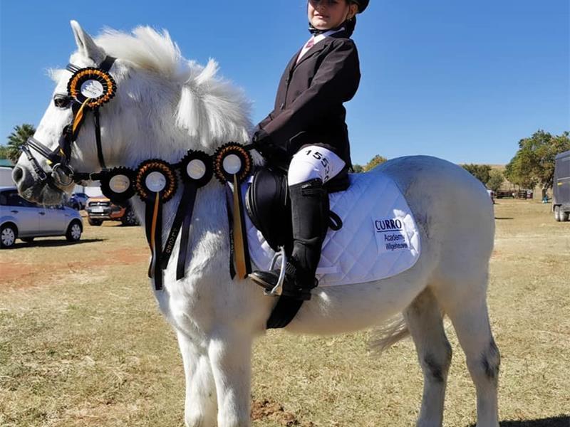 Curro Wilgeheuwel learner first in equestrian event | Roodepoort Record