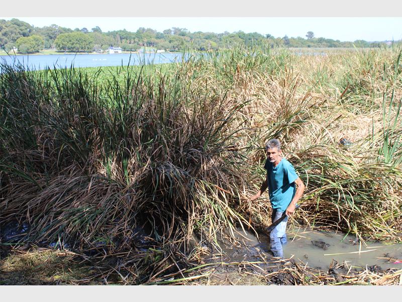 City Parks and community clear out litter clogging Florida Lake storm ...