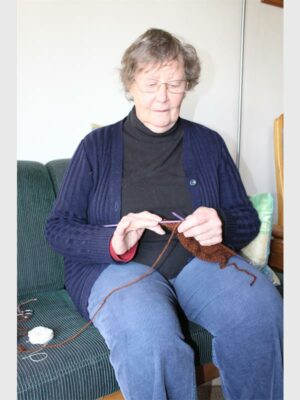 Tiny toys make a big difference | Roodepoort Record