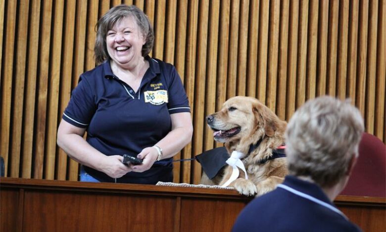 Therapy dogs help children face their fears | Roodepoort Record