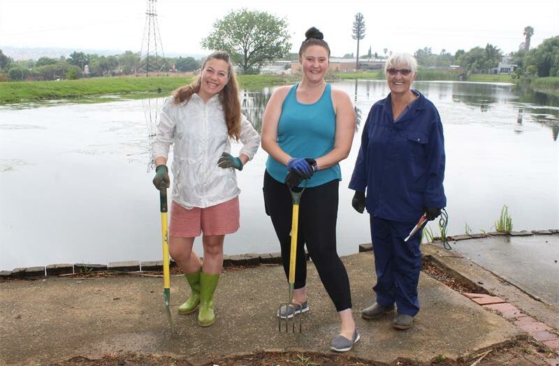 LIFCO restart wetland clean-ups to provide safe and secure park for ...