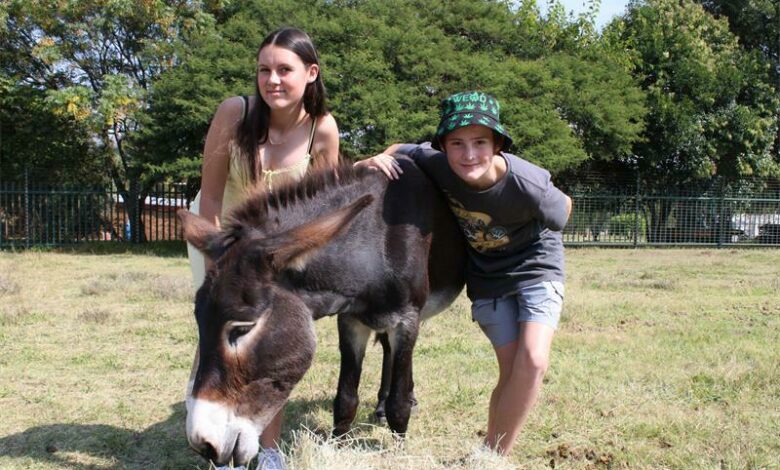 Rest Ur Ass celebrates International Donkey Day with the community ...
