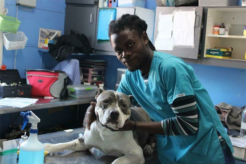 Claw sterilises many dogs and cats to prevent unwanted litters