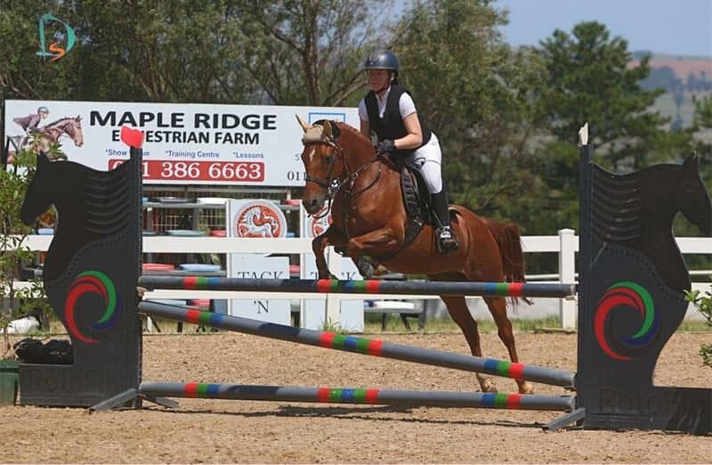 Glover riders shine at equestrian qualifiers