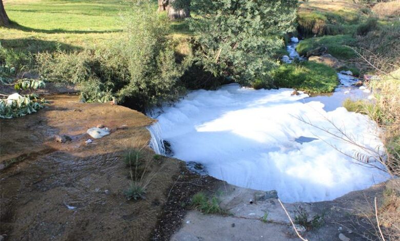 Len Rutter Park: Source of stink located