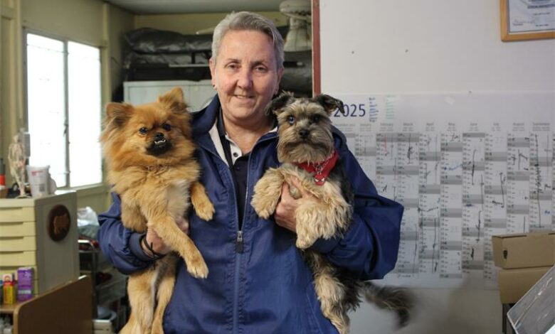 Health warning issued for deadly virus spreading among dogs