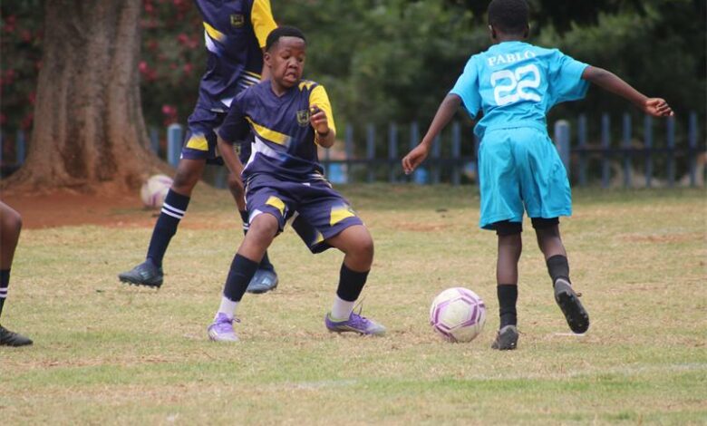 Panorama FC dominate mini festival