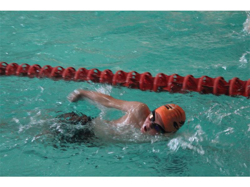 EMM swimming pools now open | Bedfordview Edenvale News