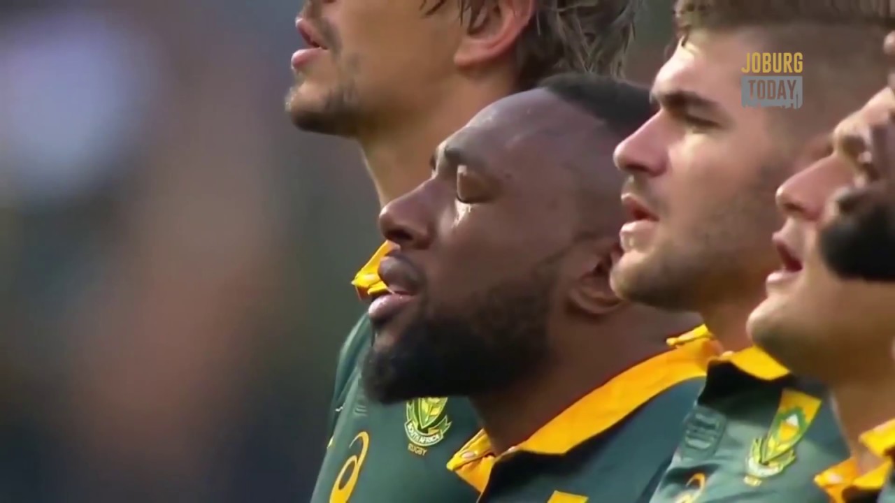 CITY NEWS - MTN Springboks launch | Bedfordview Edenvale News