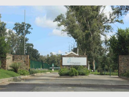 Modderfontein Reserve Walks | Bedfordview Edenvale News
