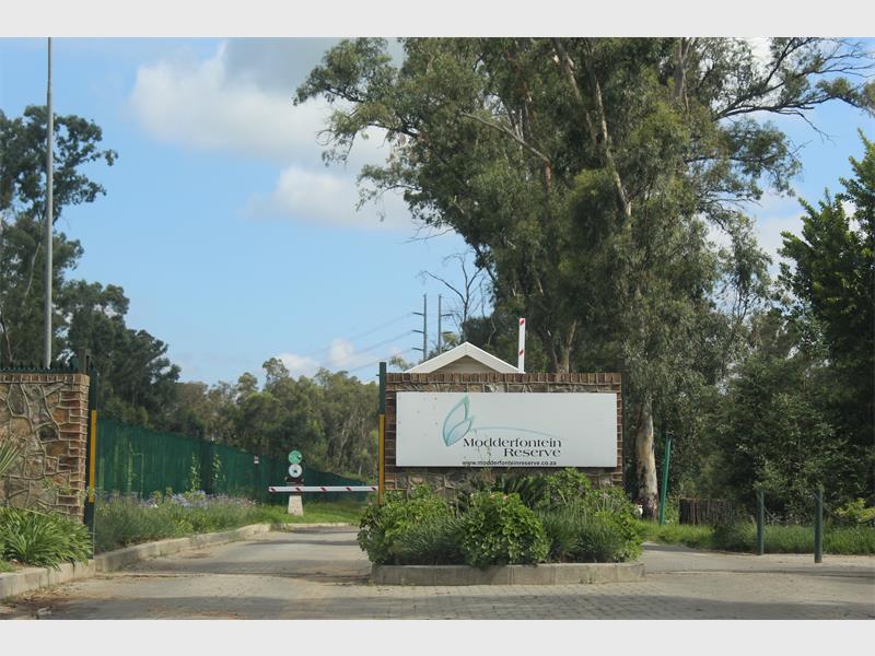 New change at the Modderfontein Reserve. | Bedfordview Edenvale News