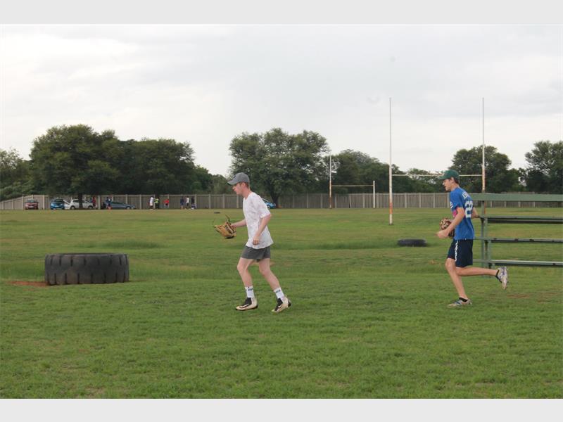 Join your local baseball team | Bedfordview Edenvale News