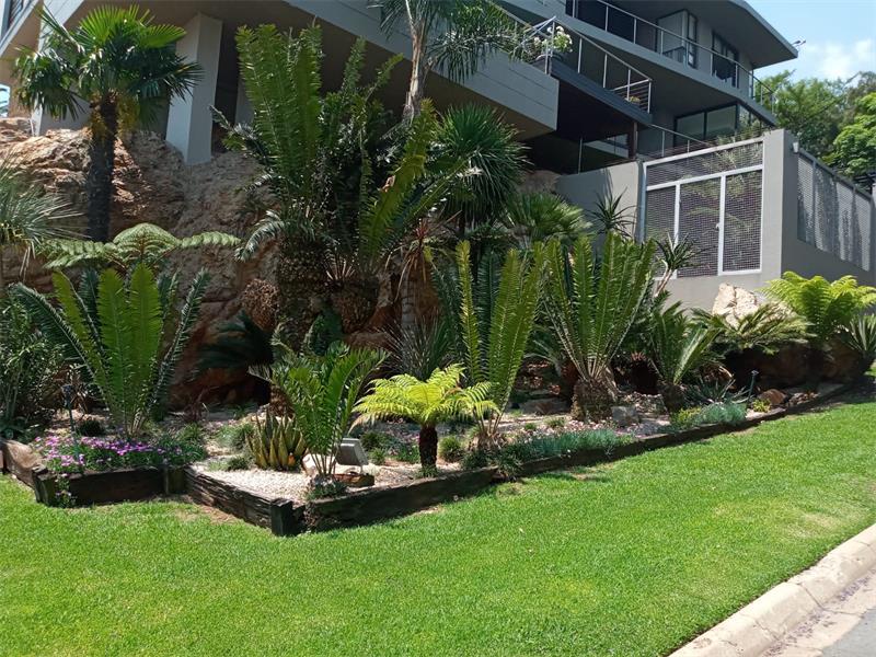 Deadline extended for best pavements competition | Bedfordview Edenvale ...