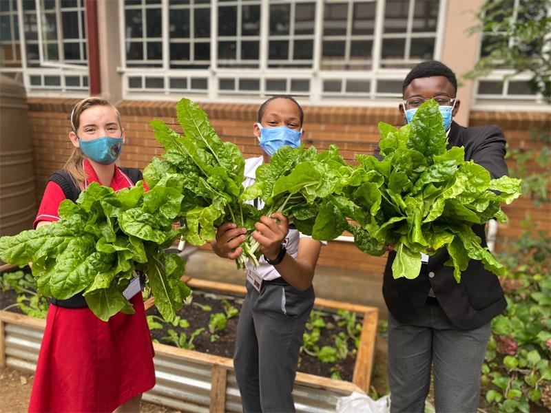 Edenglen High learners go green | Bedfordview Edenvale News