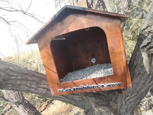 New owl boxes support wildlife-friendly pest control at Gauteng SPCAs ...