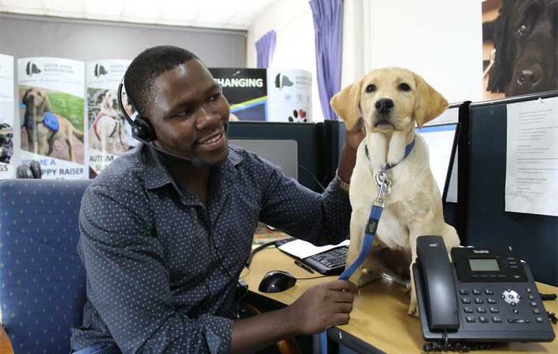 SA Guide-Dogs Association raise over R600 000 during telethon ...
