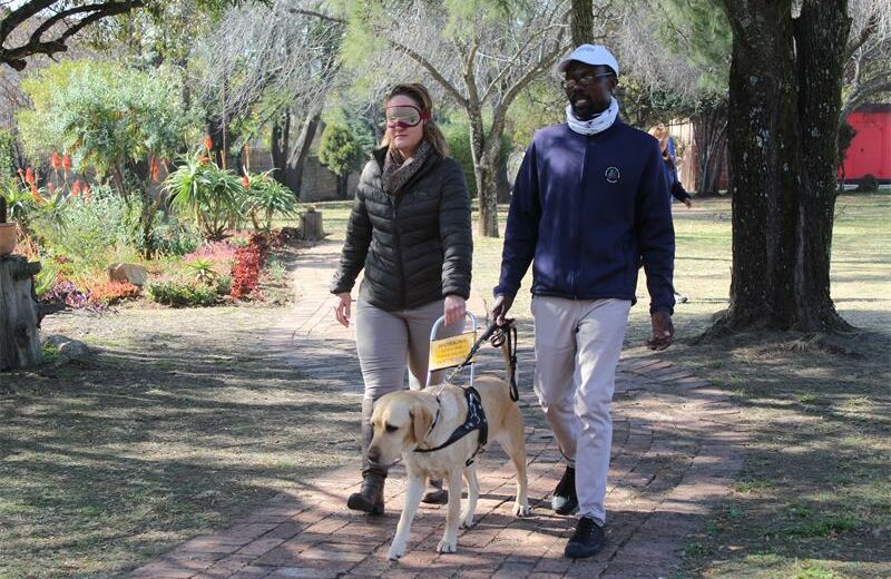 SA Guide-Dogs Association launches freedom campaign | Fourways Review