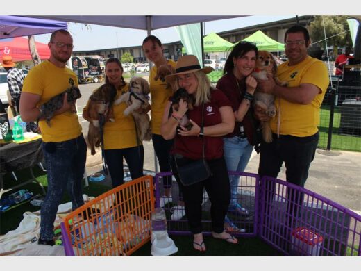 Fourways dogs to exercise and play in the safe environment of a newly ...