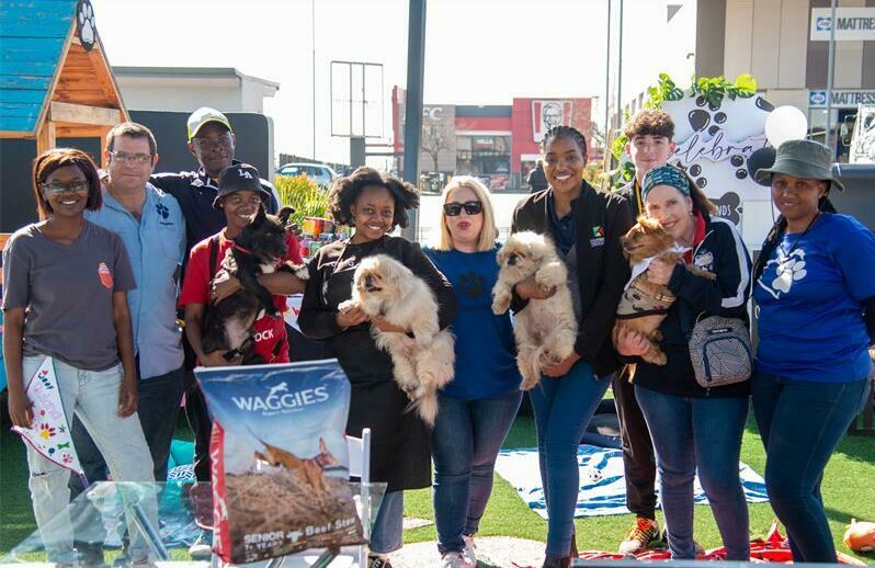 Fourways Crossing's Paws for a Cause | Fourways Review
