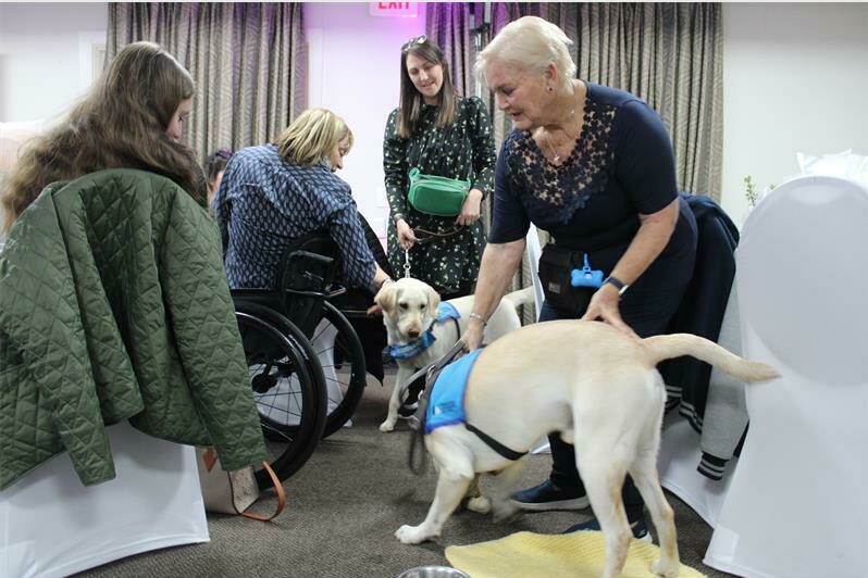 SA Guide Dogs celebrates 70 years on Women's Day | Fourways Review