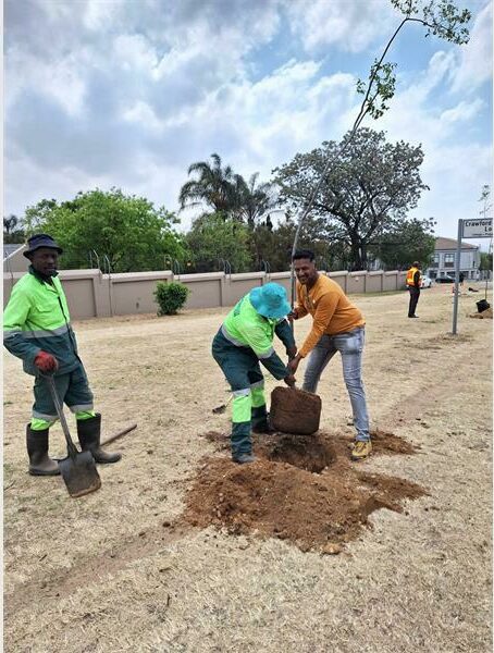 15 trees planted in honour of Arbor Month | Fourways Review
