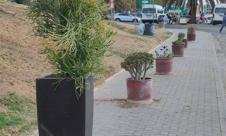 Future City Fourways team places pot plants to stop taxis parking on ...
