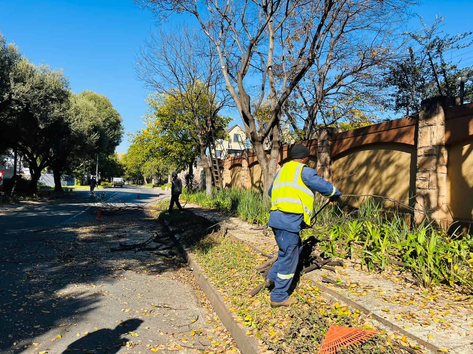 Lonehill streets get winter makeover as City Parks prunes trees ...